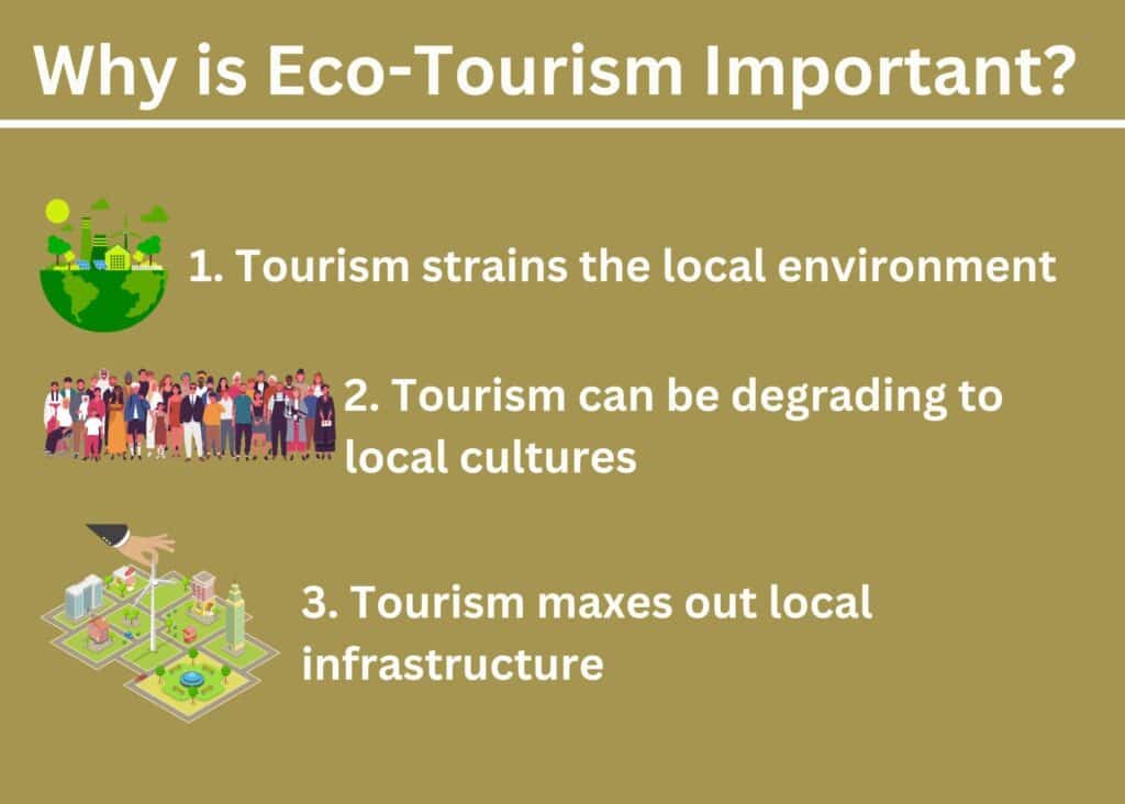 Eco-Tourism Done Right: How to Optimize Your Cabin Rentals for ...