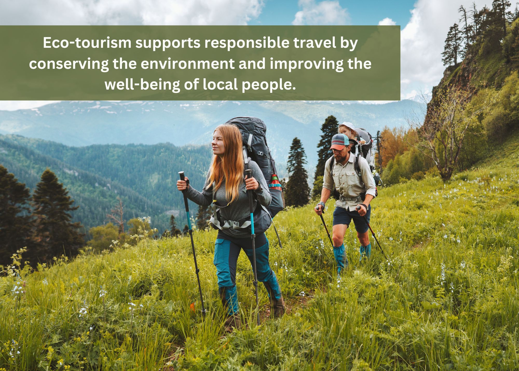 Eco-Tourism Done Right: How to Optimize Your Cabin Rentals for ...